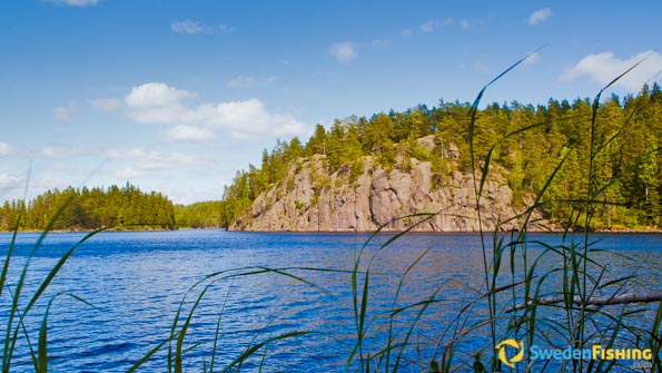 Kilsbergen Konferens & Lodge | Regnbåge | Öring | Insjö - SwedenFishing