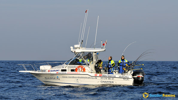 509 Bandwidth Limit Exceeded